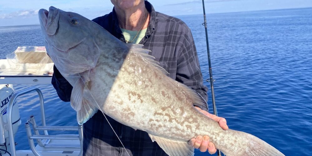Fishing for Gag Grouper